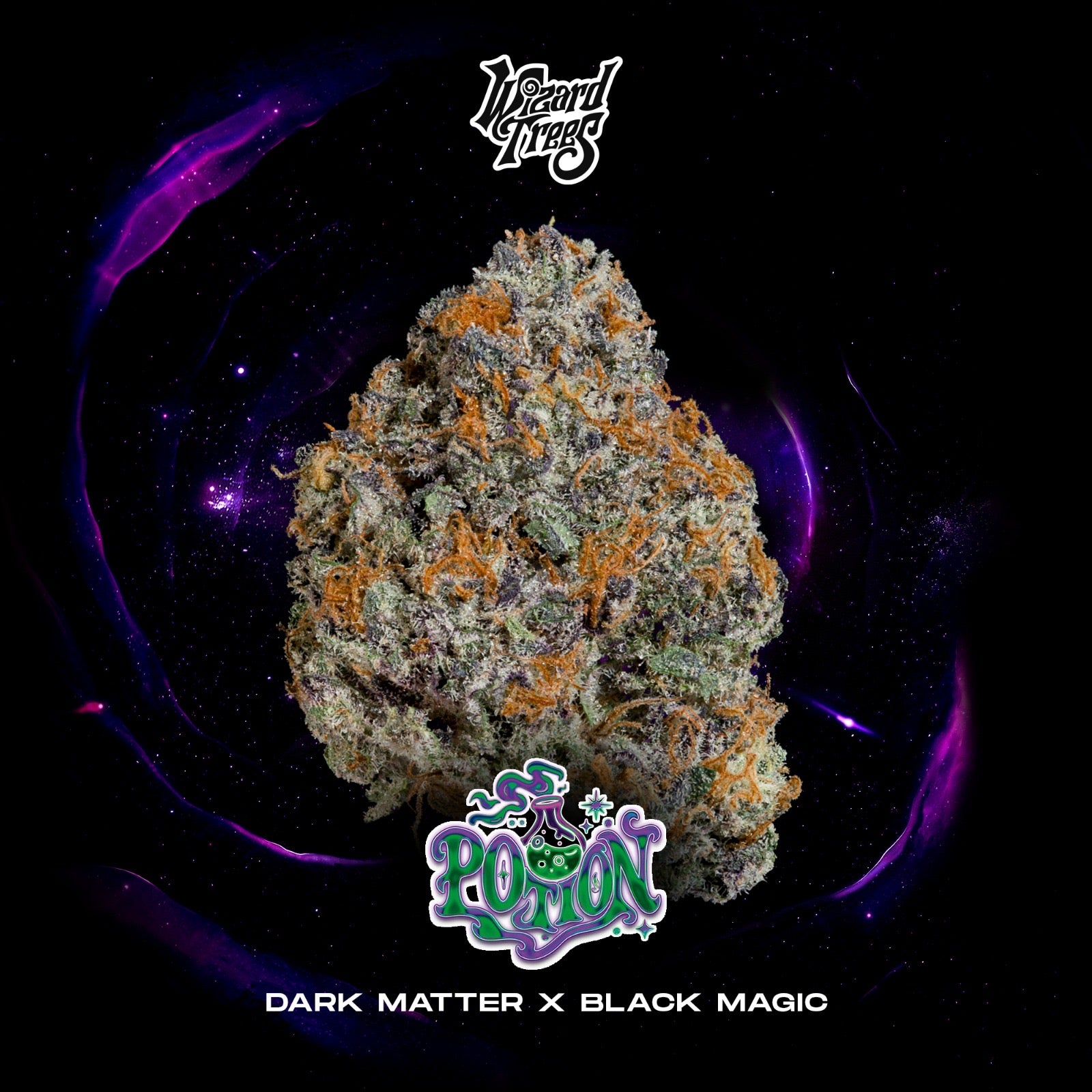 Wizard Trees Genetics