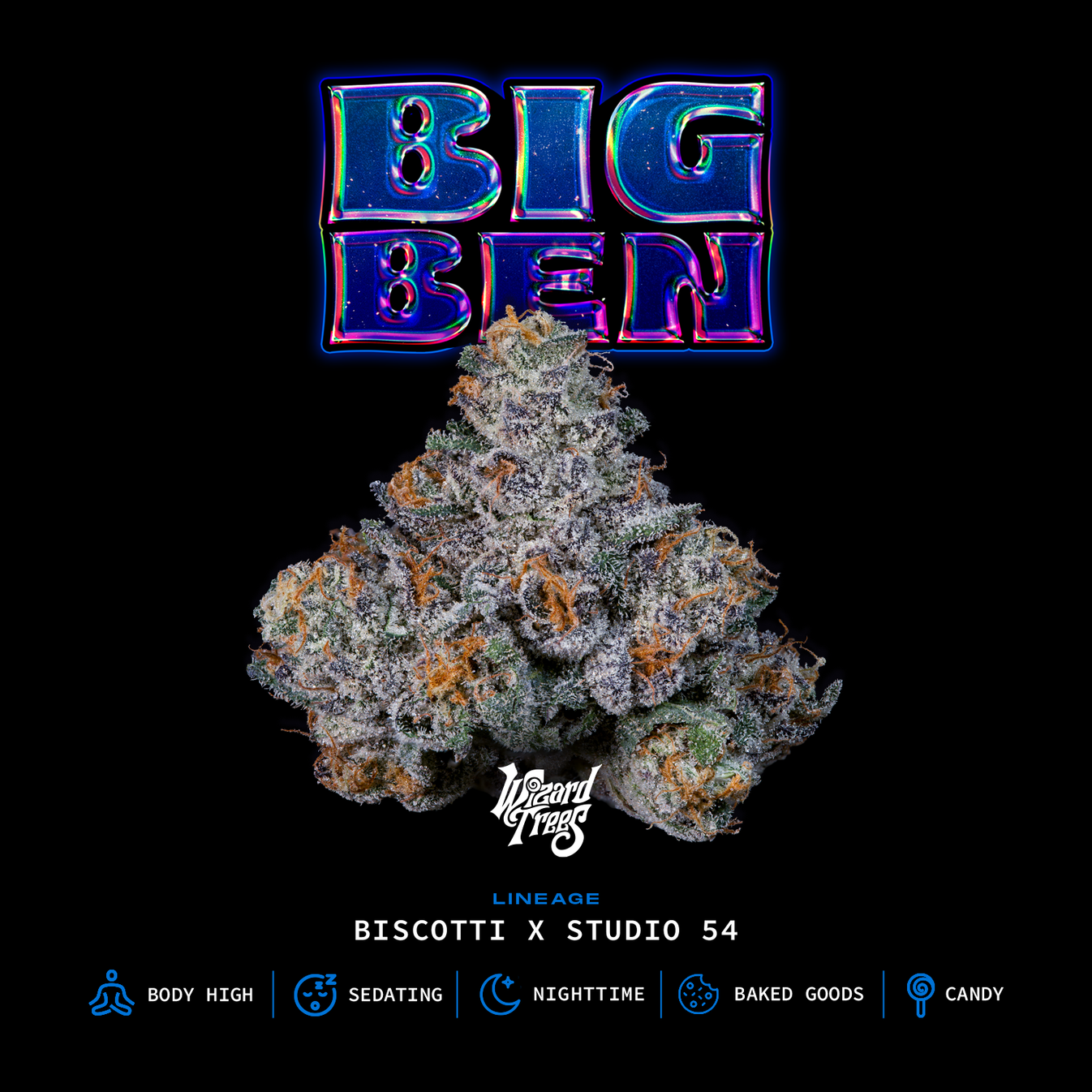 Big Ben – Wizard Trees Genetics