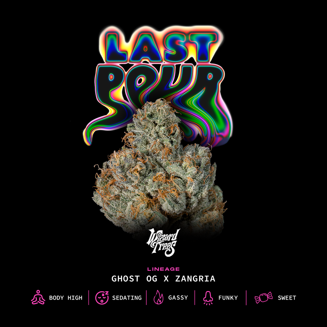 Last Pour – Wizard Trees Genetics