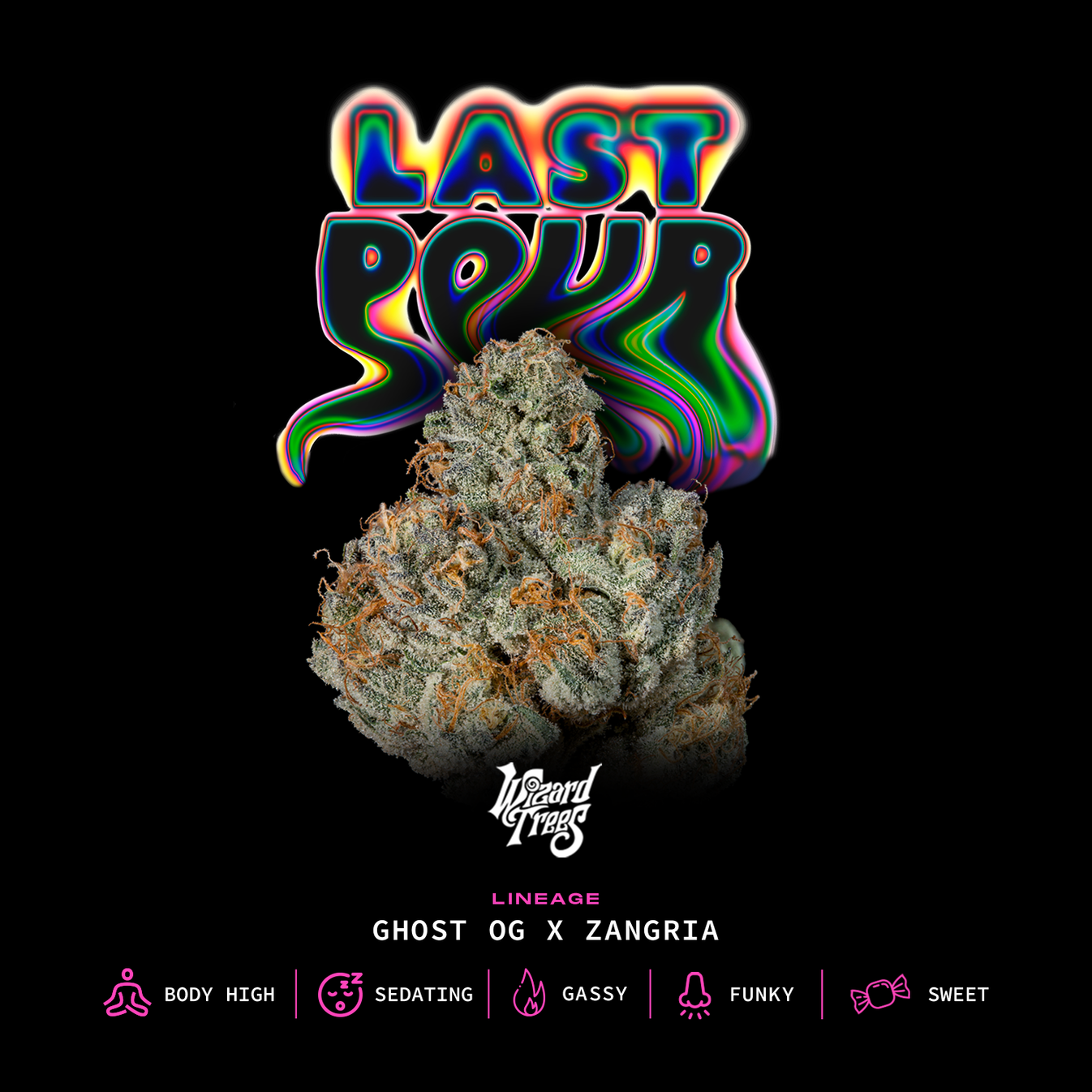 Last Pour – Wizard Trees Genetics