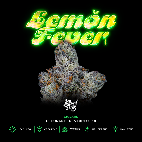 Lemon Fever – Wizard Trees Genetics