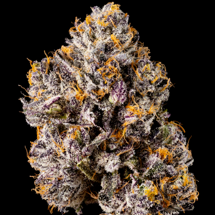 All Products – Wizard Trees Genetics