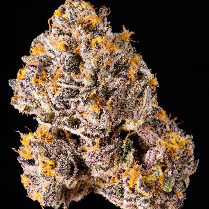Wizard Trees Genetics – WizardT