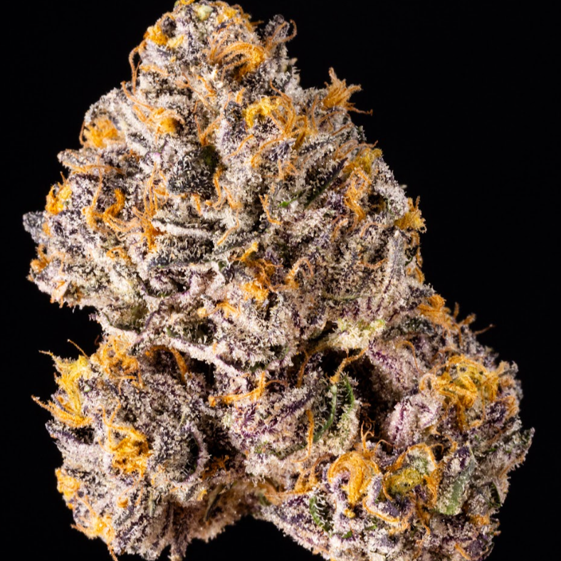 The Keeper – Wizard Trees Genetics