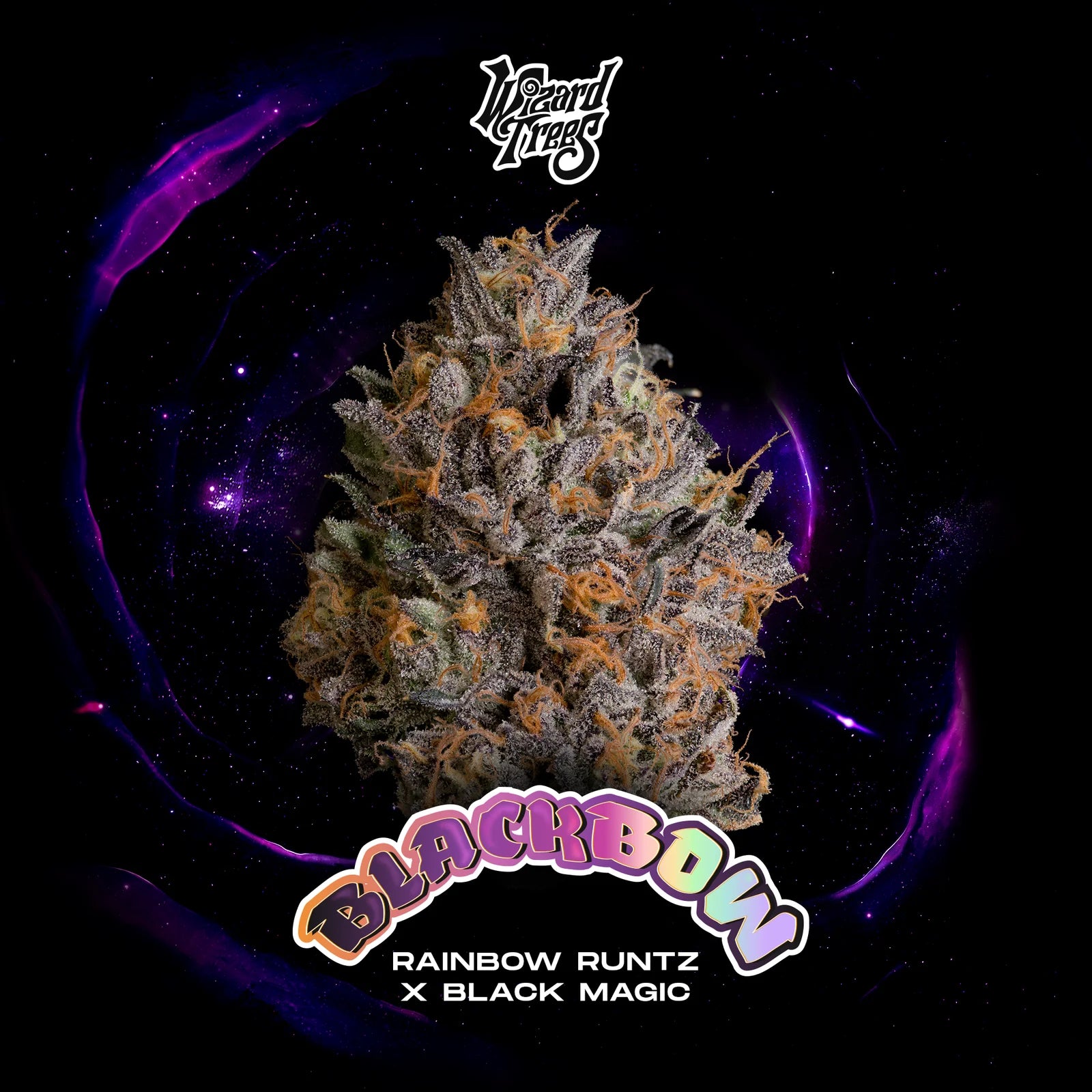 Black Bow – Wizard Trees Genetics